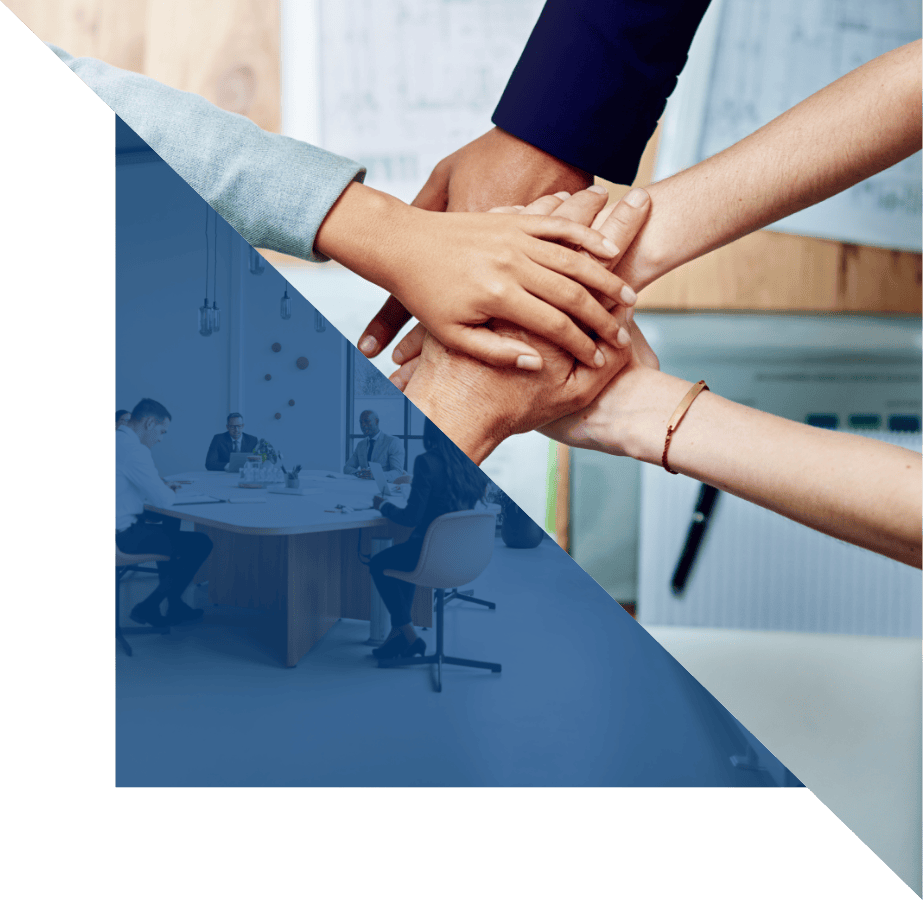 Vertex Infinity Holding GmbH