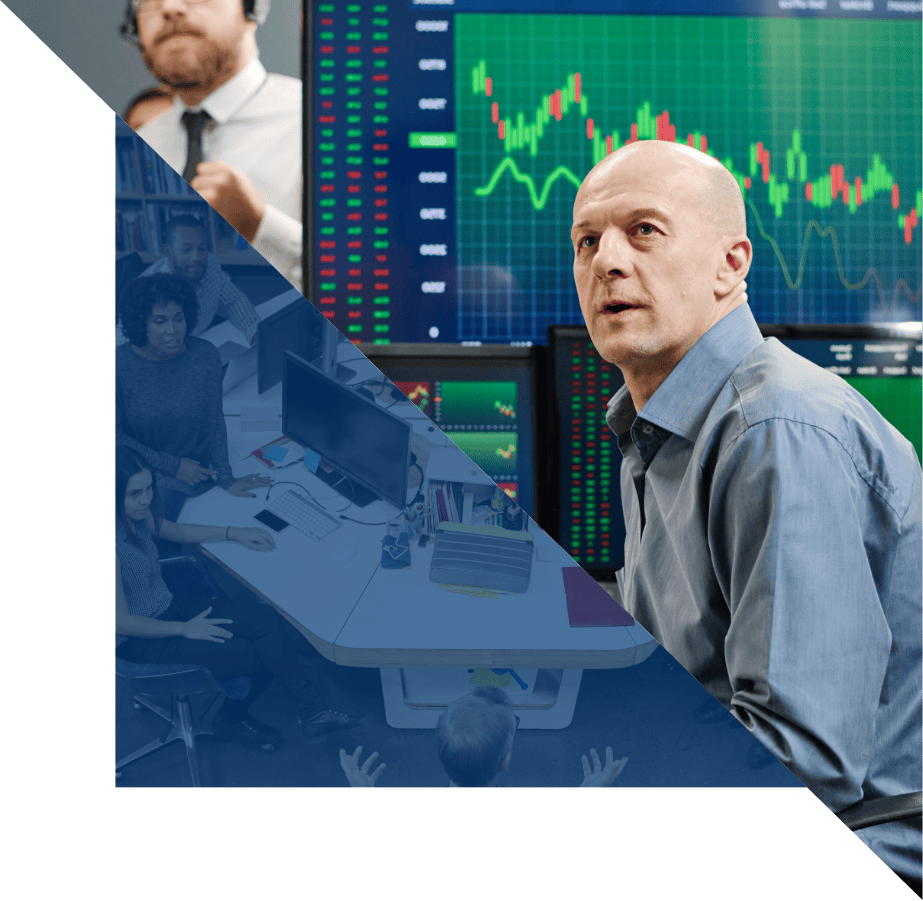 Vertex Infinity Holding GmbH